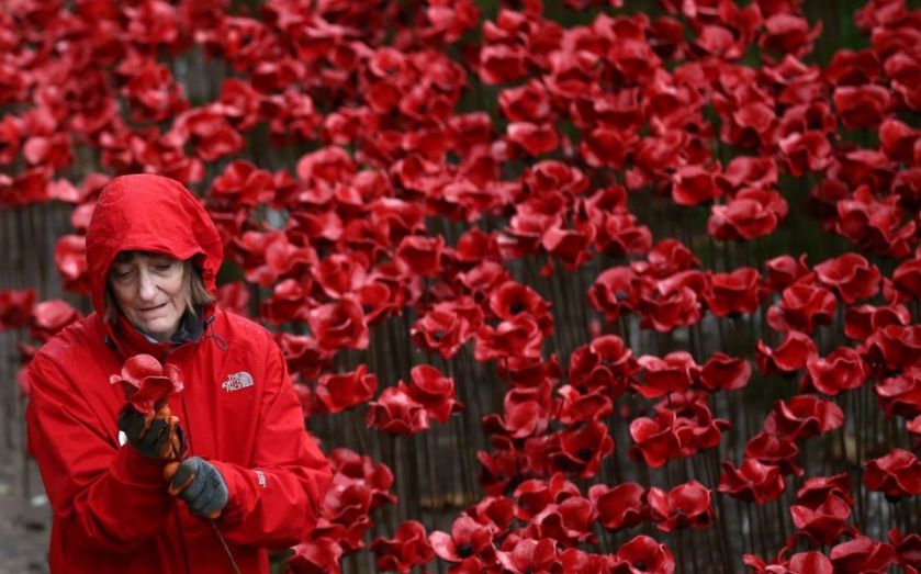 How long will the poppies be at the the Tower of London? These ...