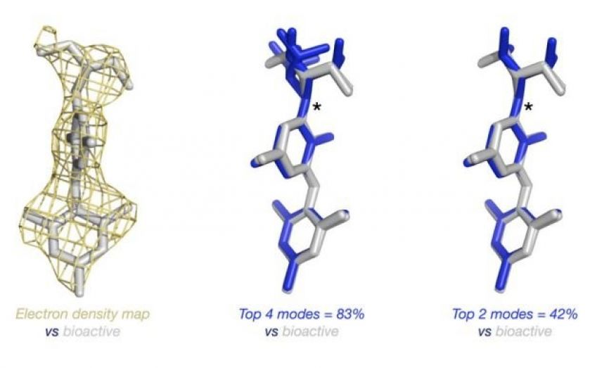 C4X Discovery IPO: Healthcare firm set to debut £31m City listing