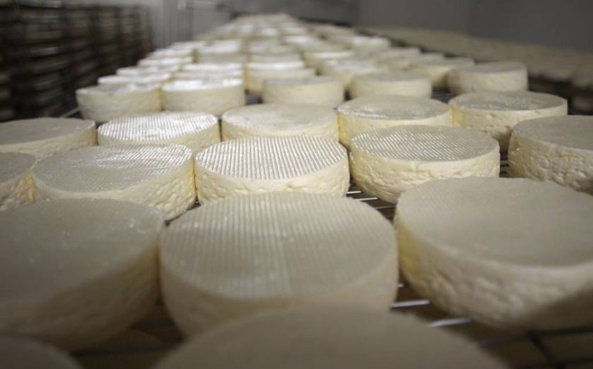 The nation's favourite cheese: Brits are obsessed with cheddar while ...