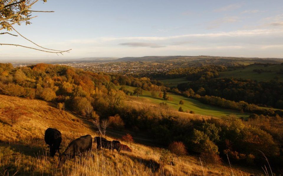 London house prices: South East and commuter areas dominate list of ...