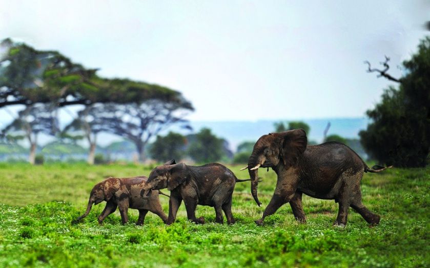 Nudge Theory: How you can use it at work