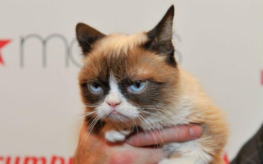 From Grumpy Cat and falling oil prices to Google blackouts and the ...