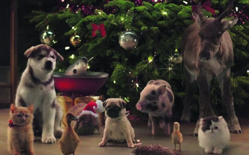 2014 Christmas advert complaints: McVities’ animal cuties join ...
