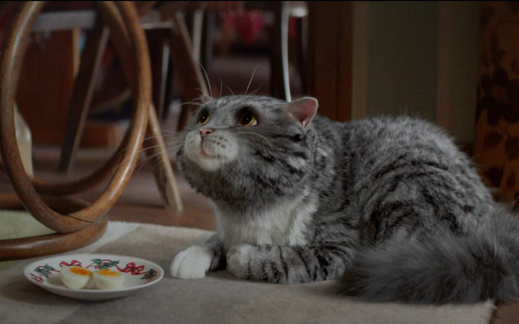 Christmas adverts 2015: Sainsbury's is feline festive with Mog the Cat ...