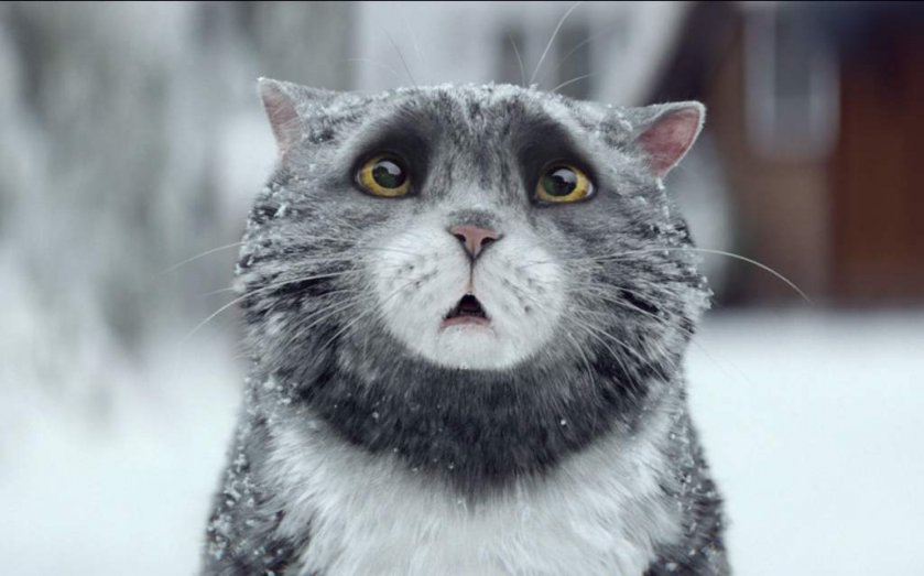 Mog the Cat vs Man on the Moon: Sainsbury’s trumps John Lewis for ...