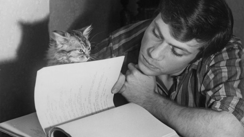 RW Baird chiefs on the respectful way they do business and their plans ...