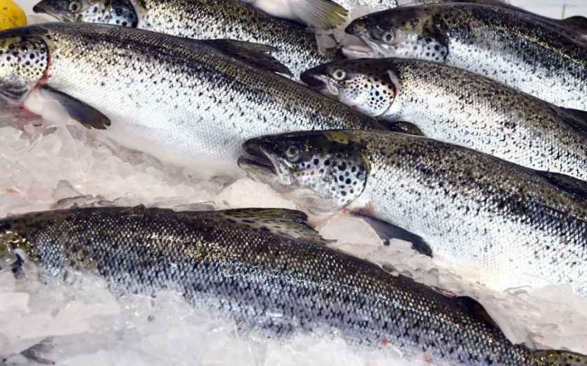 Cargill feeds its salmon tank in €1.35bn EWOS takeover from Altor and ...