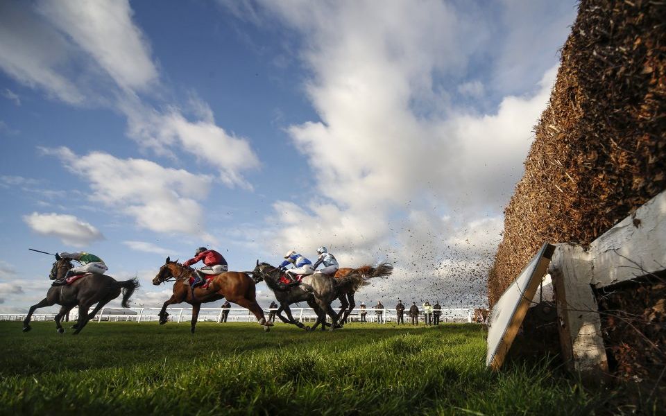 Ranking the best horse racing syndicates in the UK - City AM