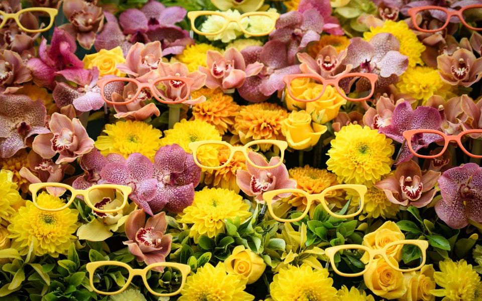 Bloobloom glasses review: friendly service, bold eyewear