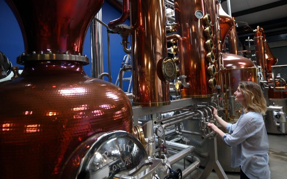 English gin makers toast boom in sales as spirits reach record high