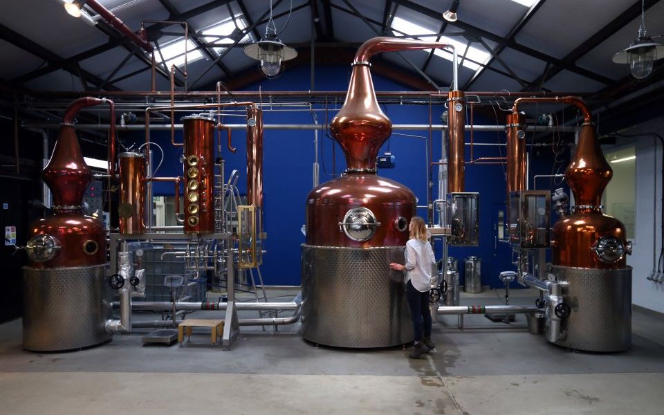 Gin o'clock: UK gin sales account for three-quarters of EU production