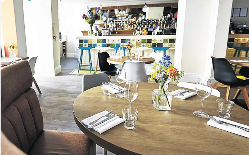 Review: TED Restaurant