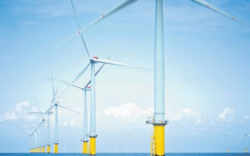 London Array blames EU rules on birds as it calls off expansion