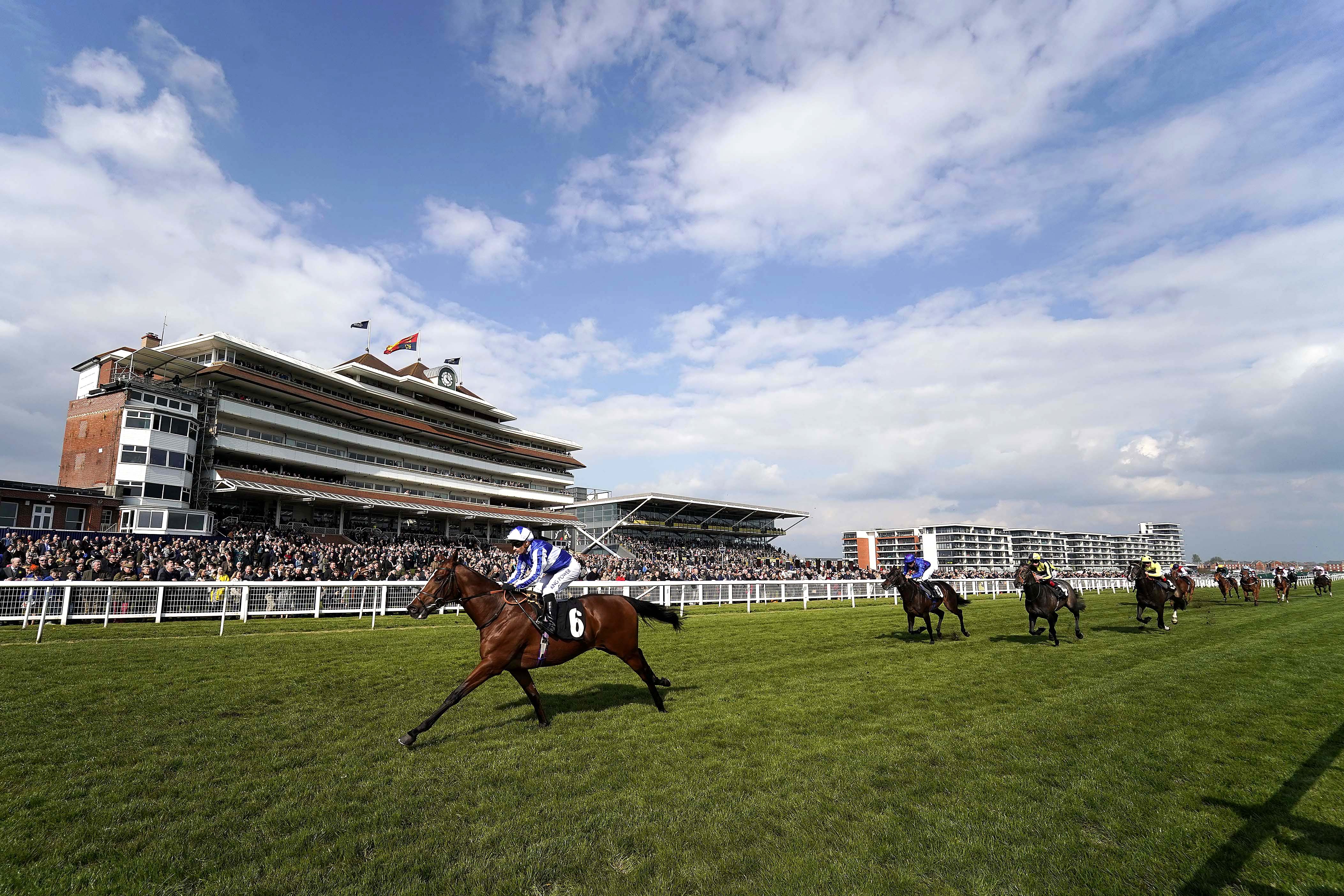 Horse Racing Betting Tips: King Power can get off to a flyer with ...
