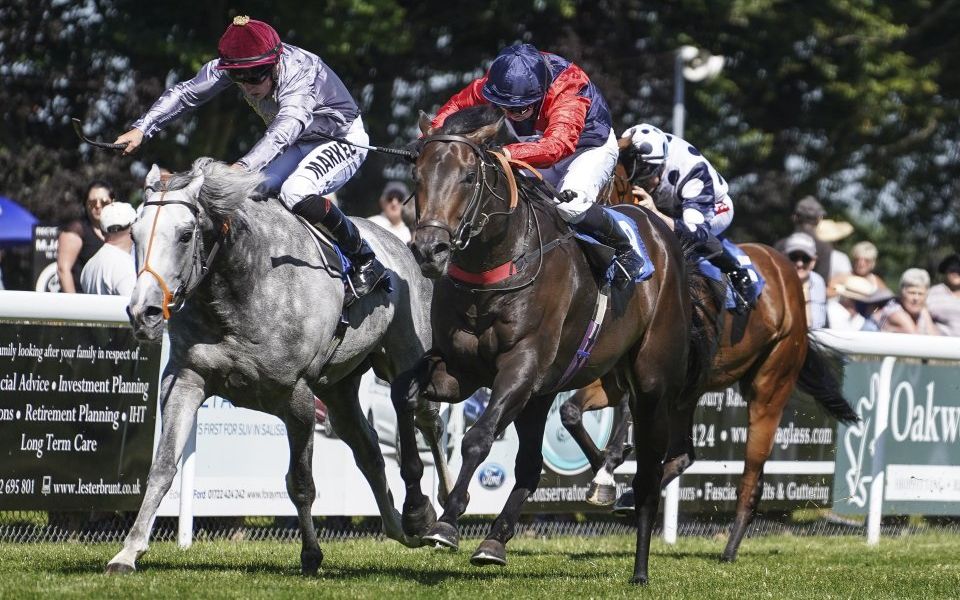 Horse Racing Betting Tips: Turner has the Power to land opening race ...