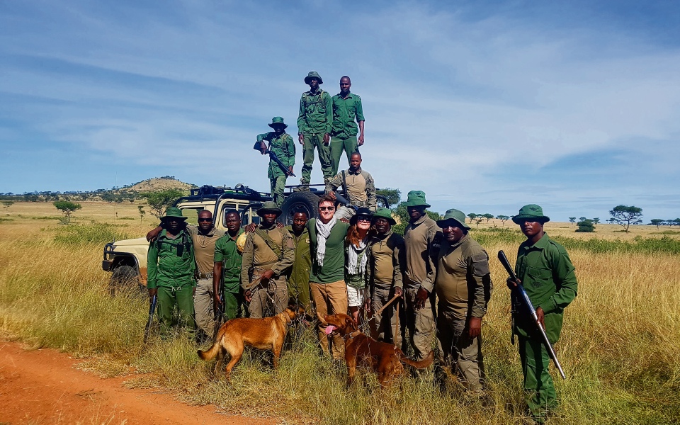 Hunting the hunters: We go on safari with the Serengeti's canine anti ...