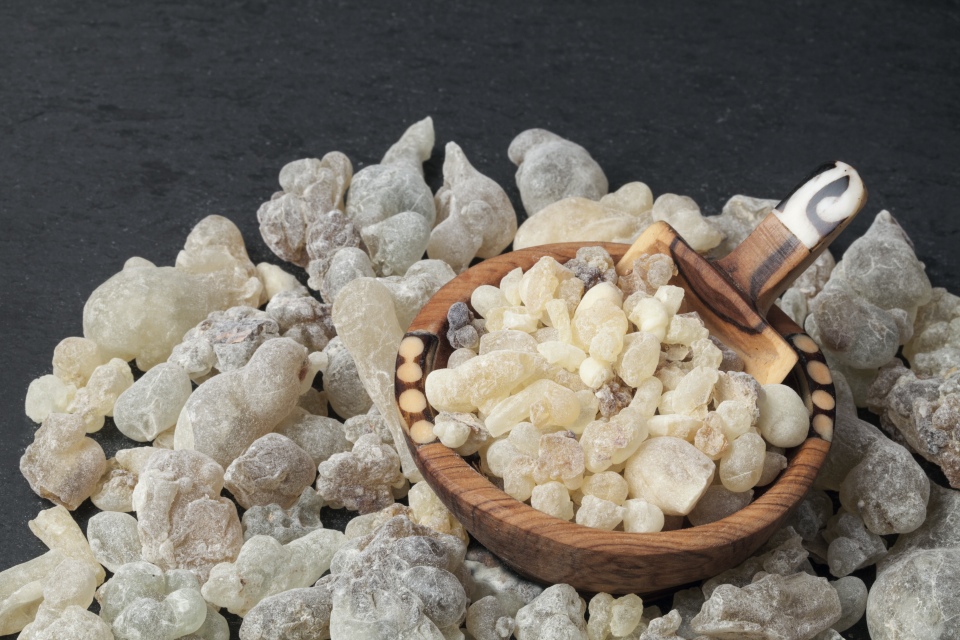 What is frankincense? And where does it come from? - CityAM : CityAM