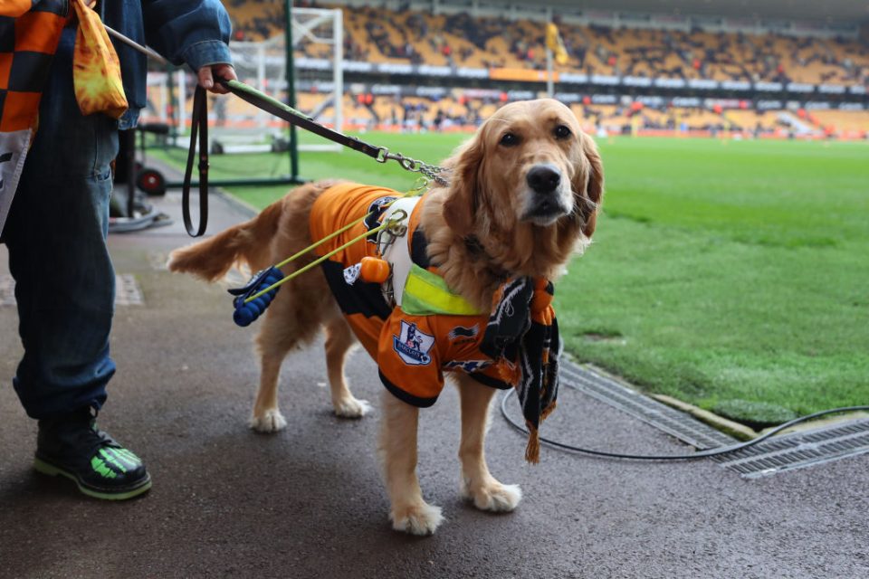 I can see clearly how to help London’s blind community - CityAM : CityAM