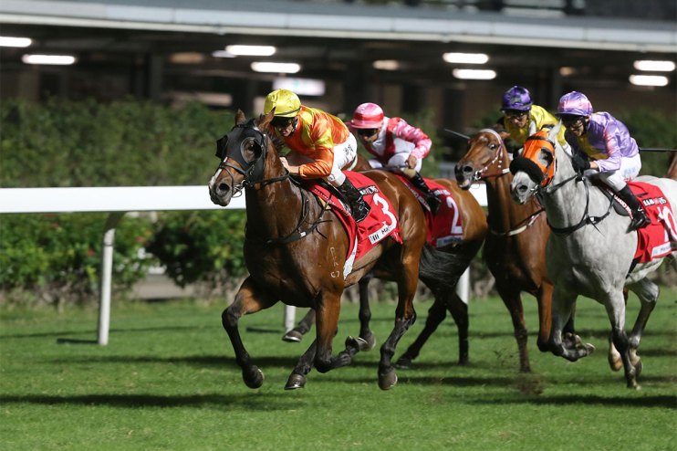 Hong Kong Racing Tips: Rev can ensure Hall's night ends on a High