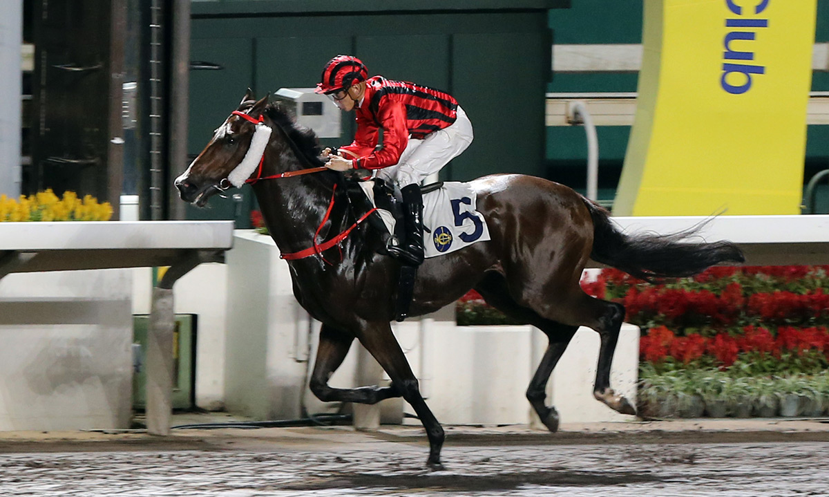 Hong Kong Racing Tips: Purton to rule again aboard Kings Shield
