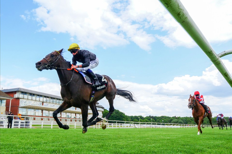 Ed Walker updates on leading Investec Derby contender English King