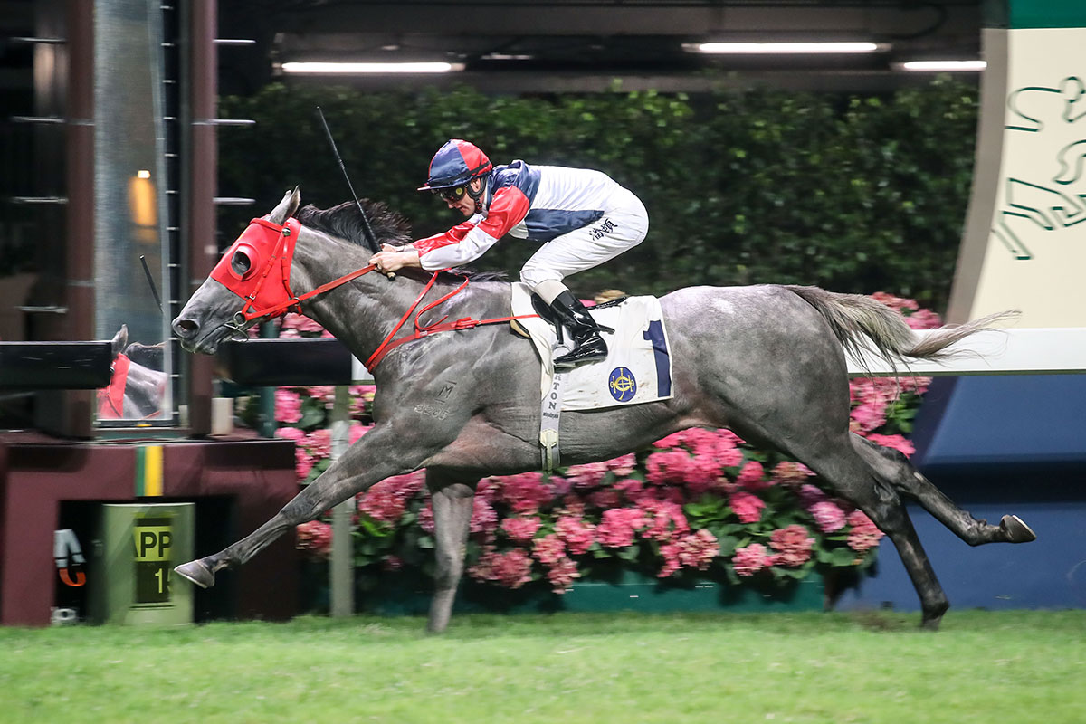 Hong Kong Racing Tips: Fighter to come Racing home in Valley finale