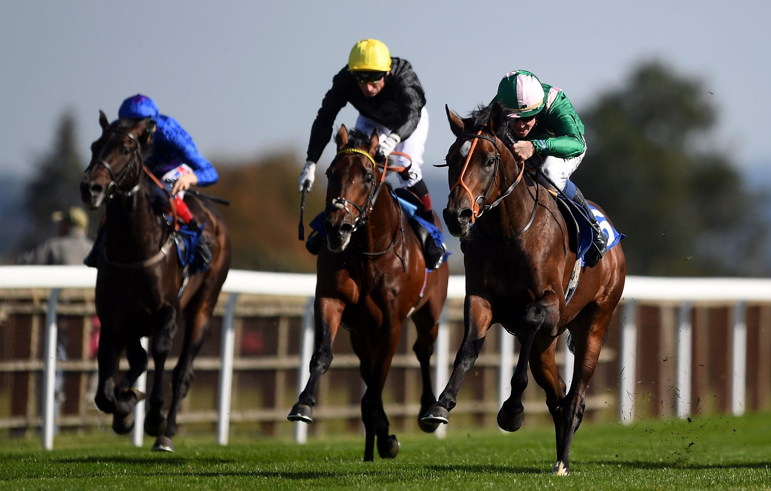 Bill Esdaile’s guide to Saturday’s Tote Scoop6