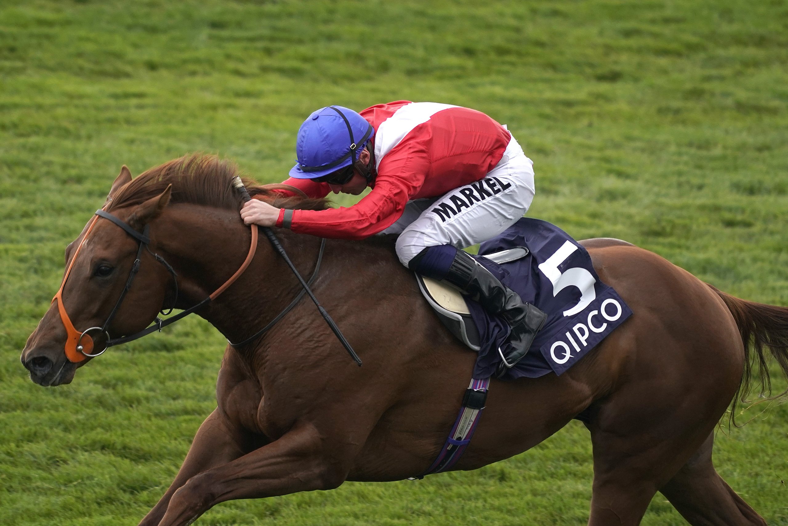 Tote Scoop6 tips for Newbury and Newmarket