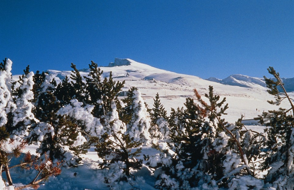 Rugged beauty: exploring the diversity of Spain’s natural landscapes