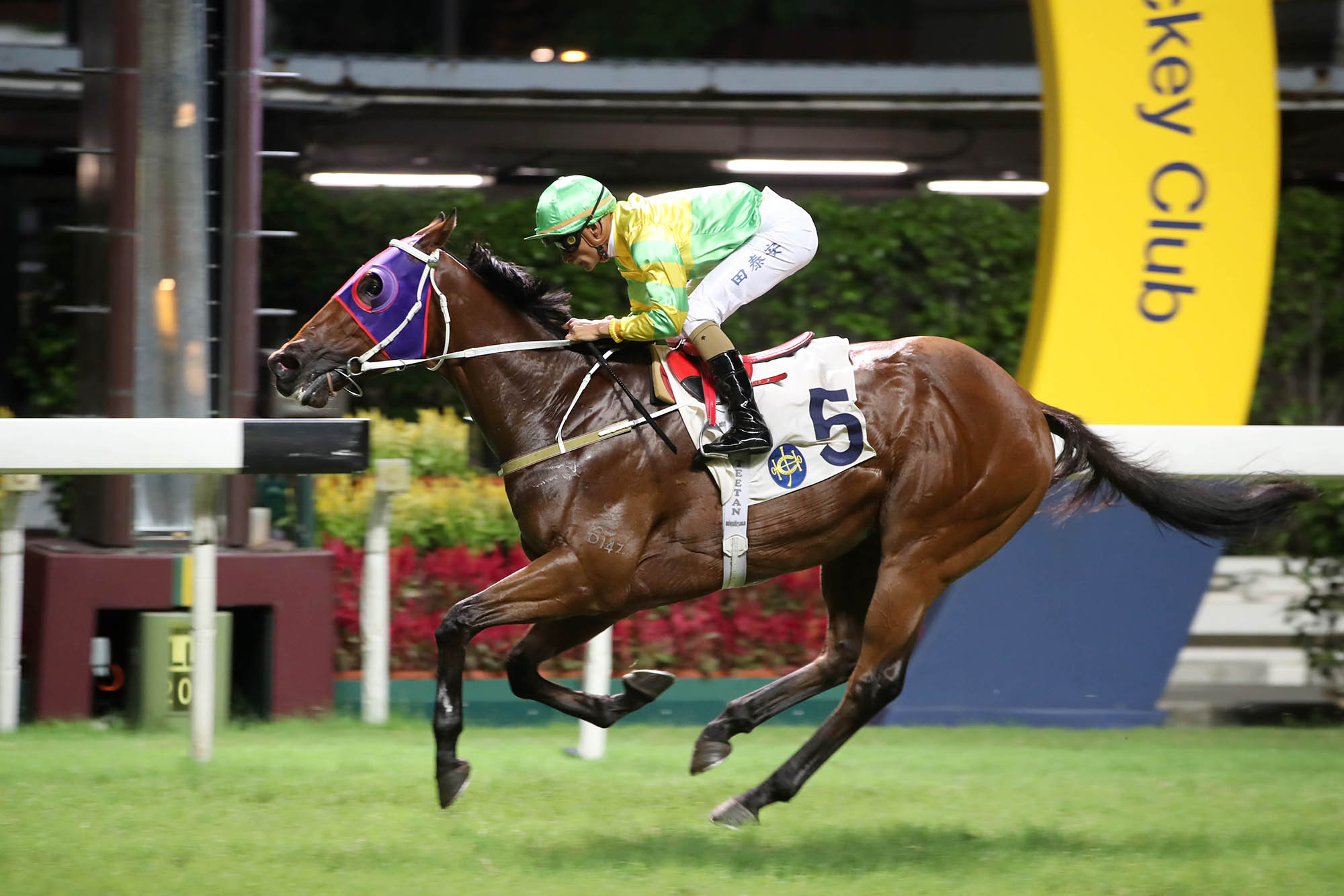 Rad can start new campaign in red-hot form