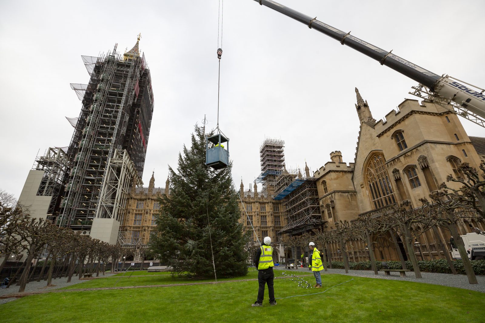 In pictures: Westminster gets festive as parliament unveils Christmas tree