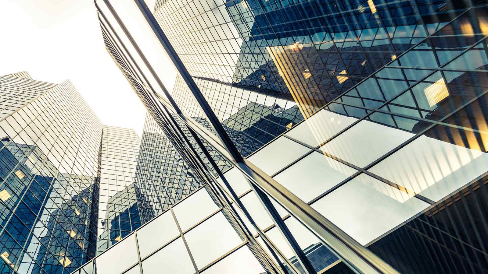 Randall and Quilter's program division posts a profit for the first time