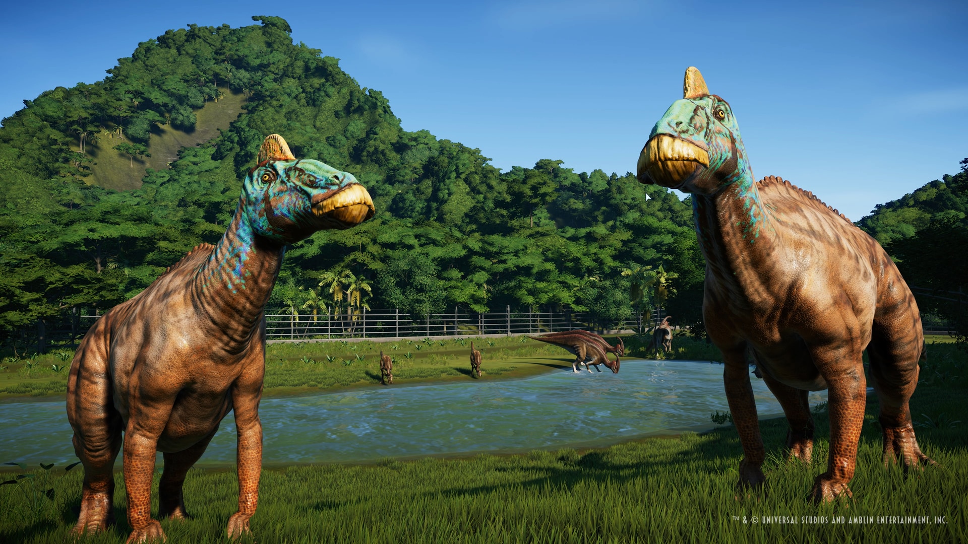 'We're in a great place': Frontier Developments charts robust growth ...
