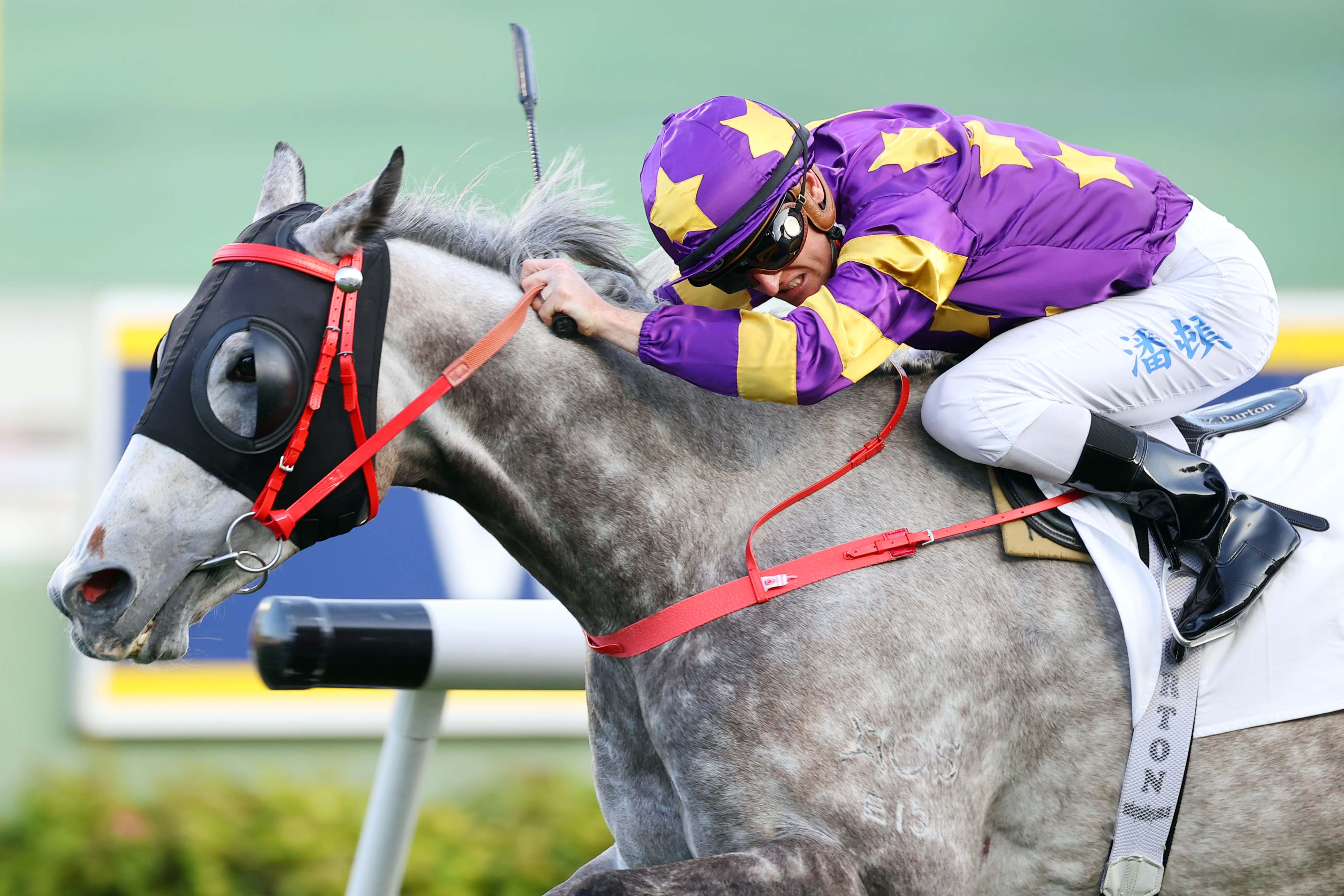 Size’s Nine can make it a Magnificent return for Purton - CityAM