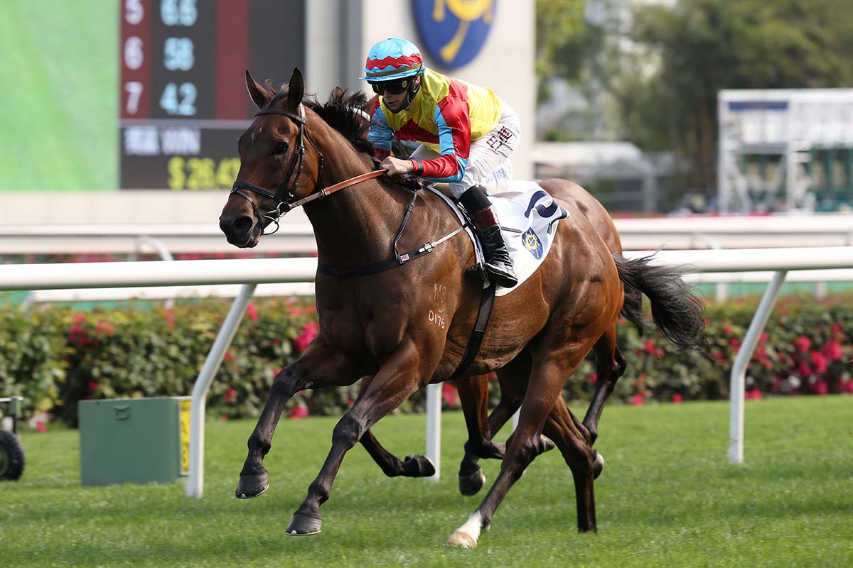 Warrior Wellington set for Romantic follow up success