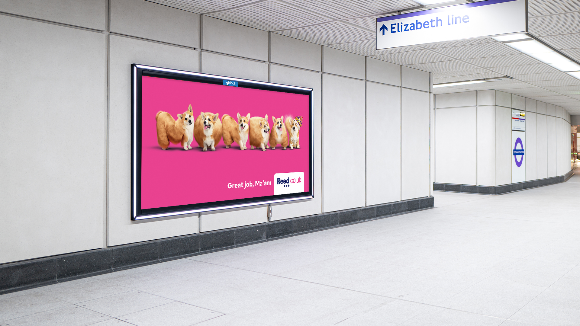 Elizabeth Line shines as it carries a record number of passengers