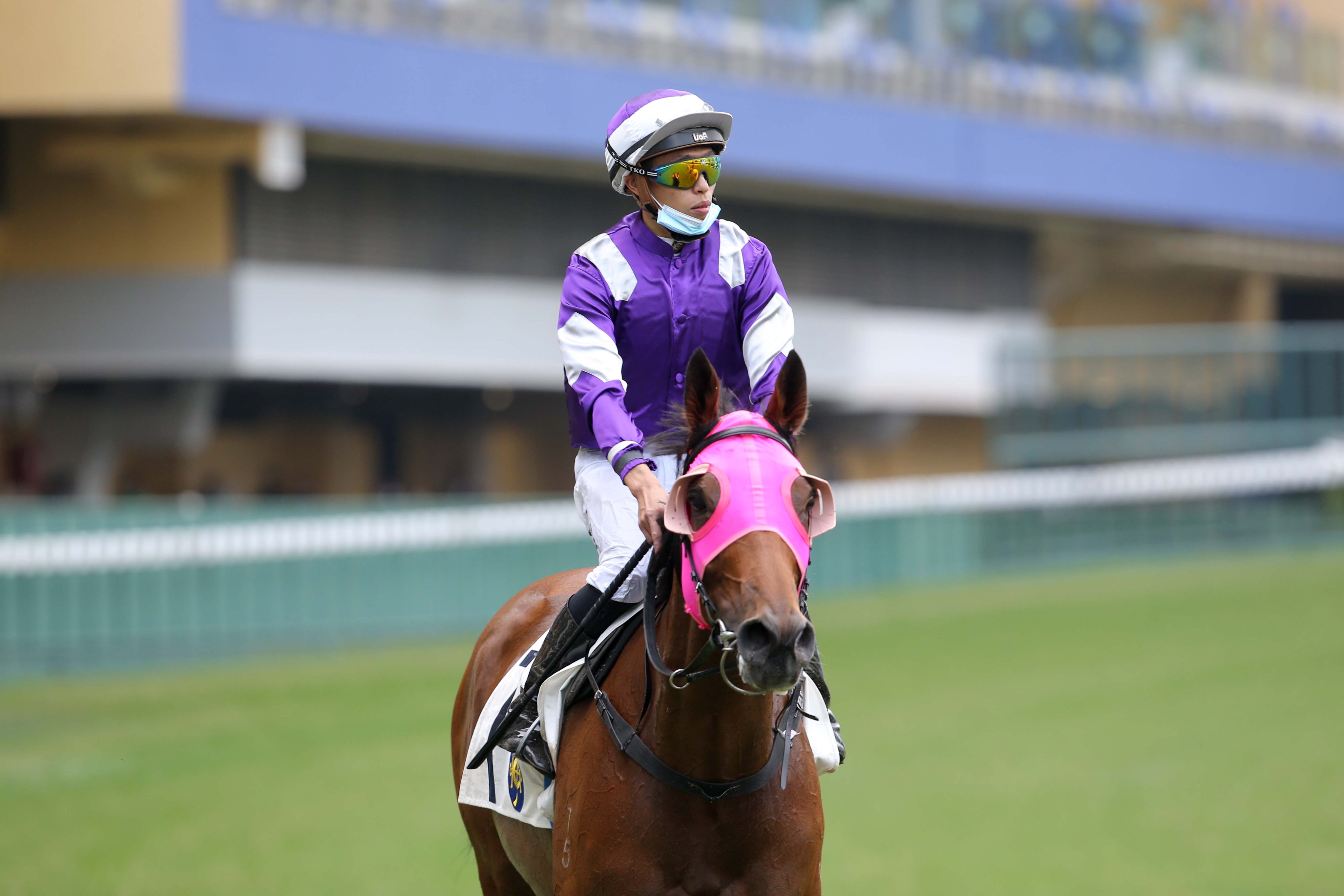 Hong Kong Racing Tips: Golden partnership of Ho and Lui to follow up ...