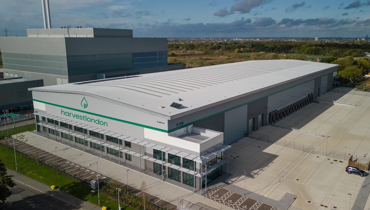 Going green: Harvest London set to build 'vertical farm' in the Croydon ...