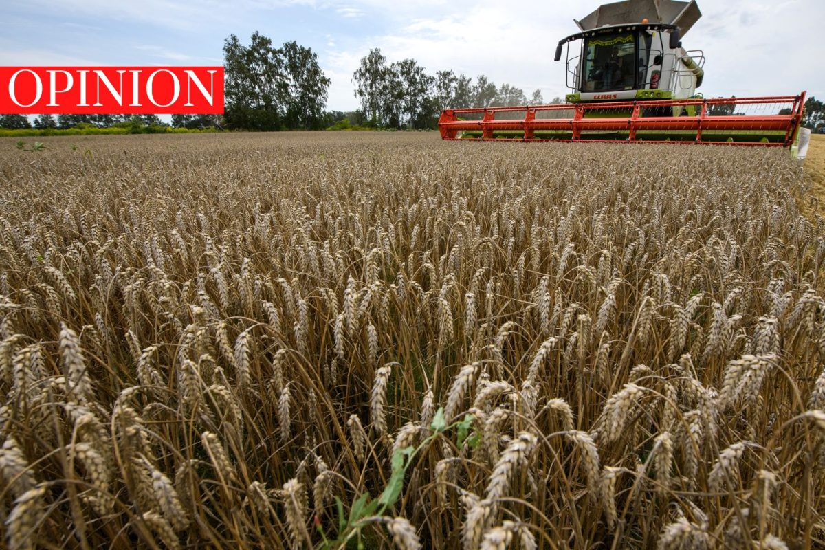 A kernel of grain is driving a wedge through Europe’s response to Ukraine