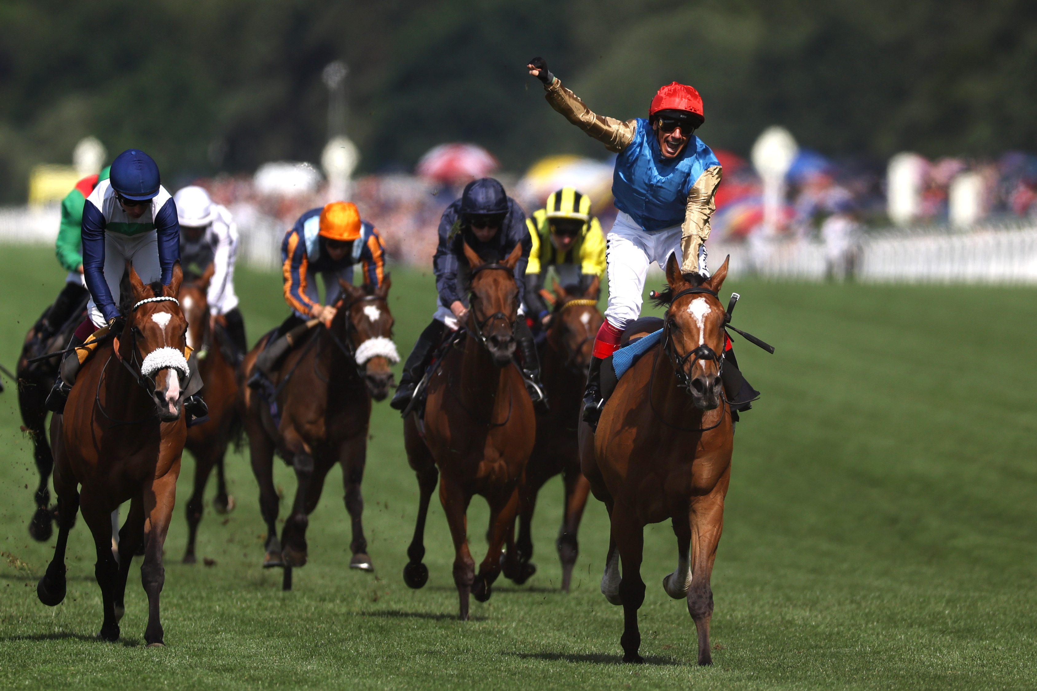 Emily Dickinson set to brighten up damp Goodwood