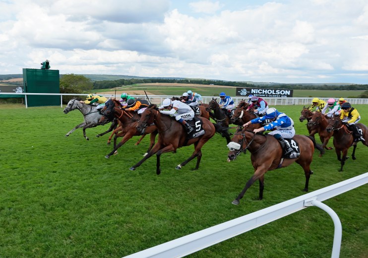 Riddiford to Lord it over Goodwood rivals once again