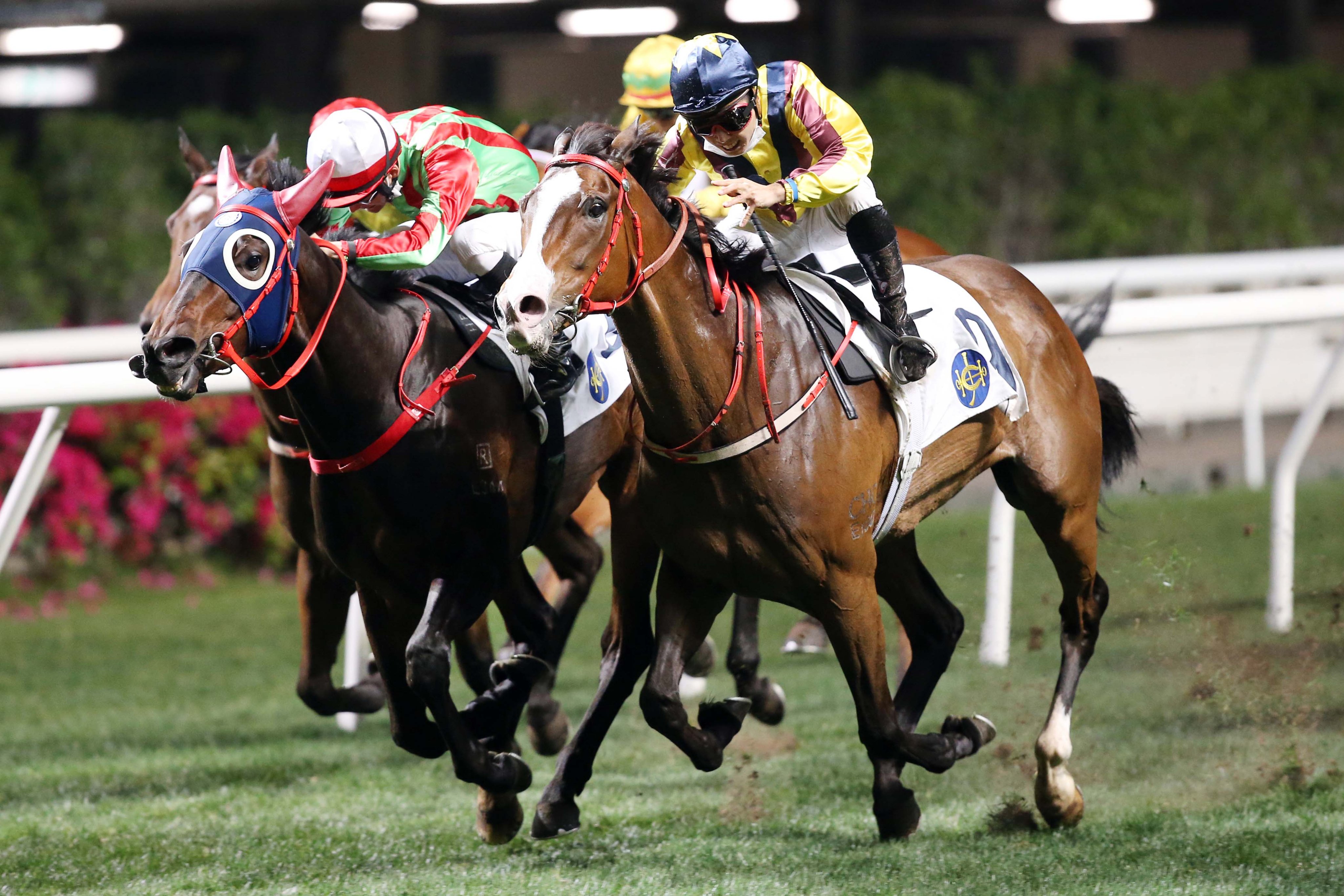 Smart Idea to play Lor’s galloper against the favourite