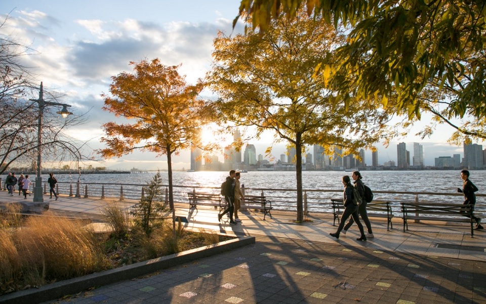 Ming of Harlem film review: an art house movie about a man who kept a ...