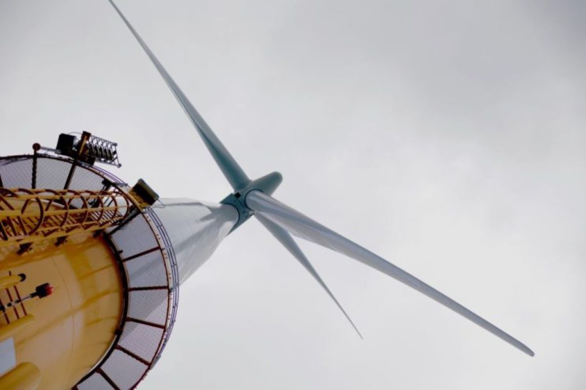 MPs slam China's role in new offshore wind farm that could power over ...