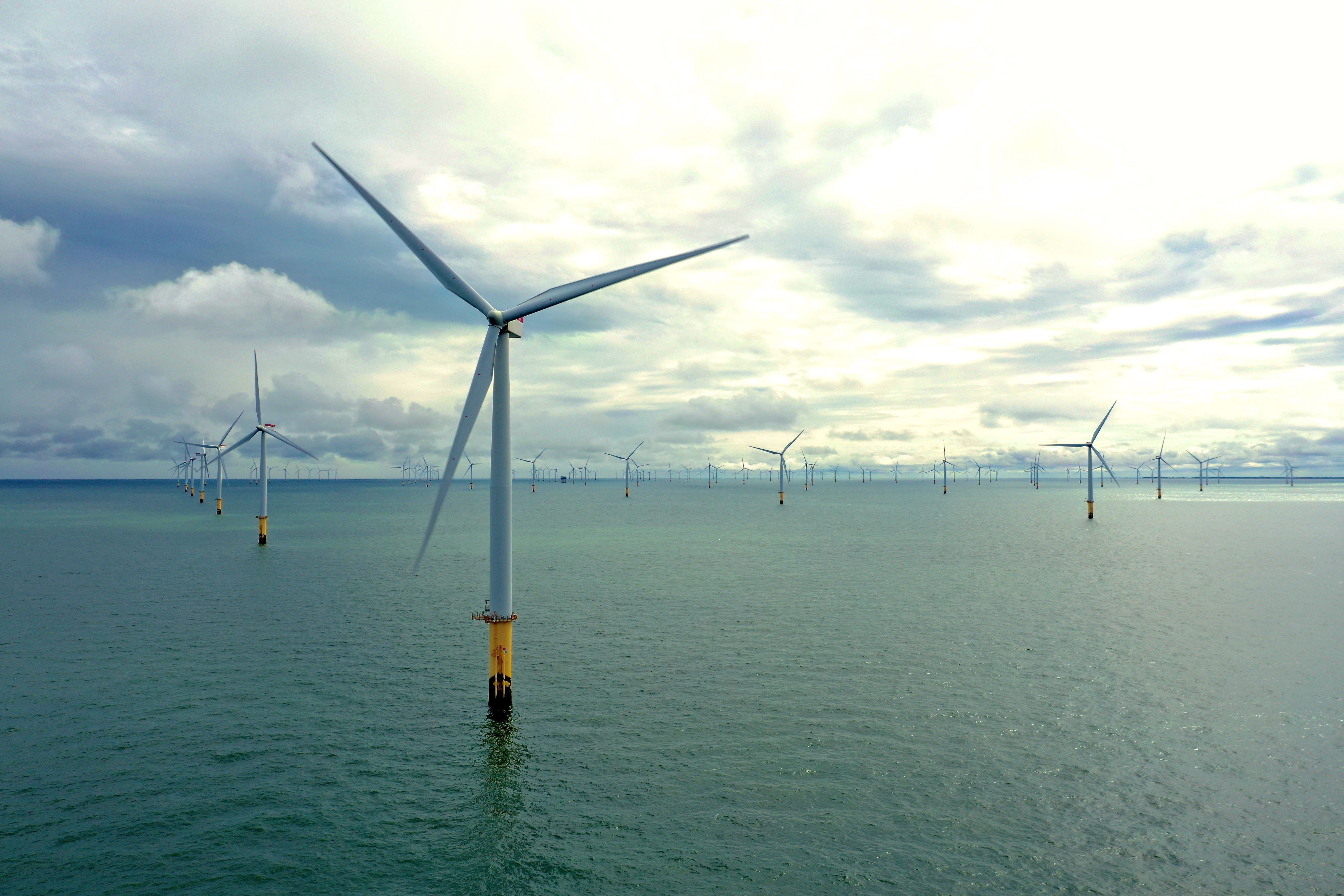 The one winner from the UK's miserable summer?... Wind turbines