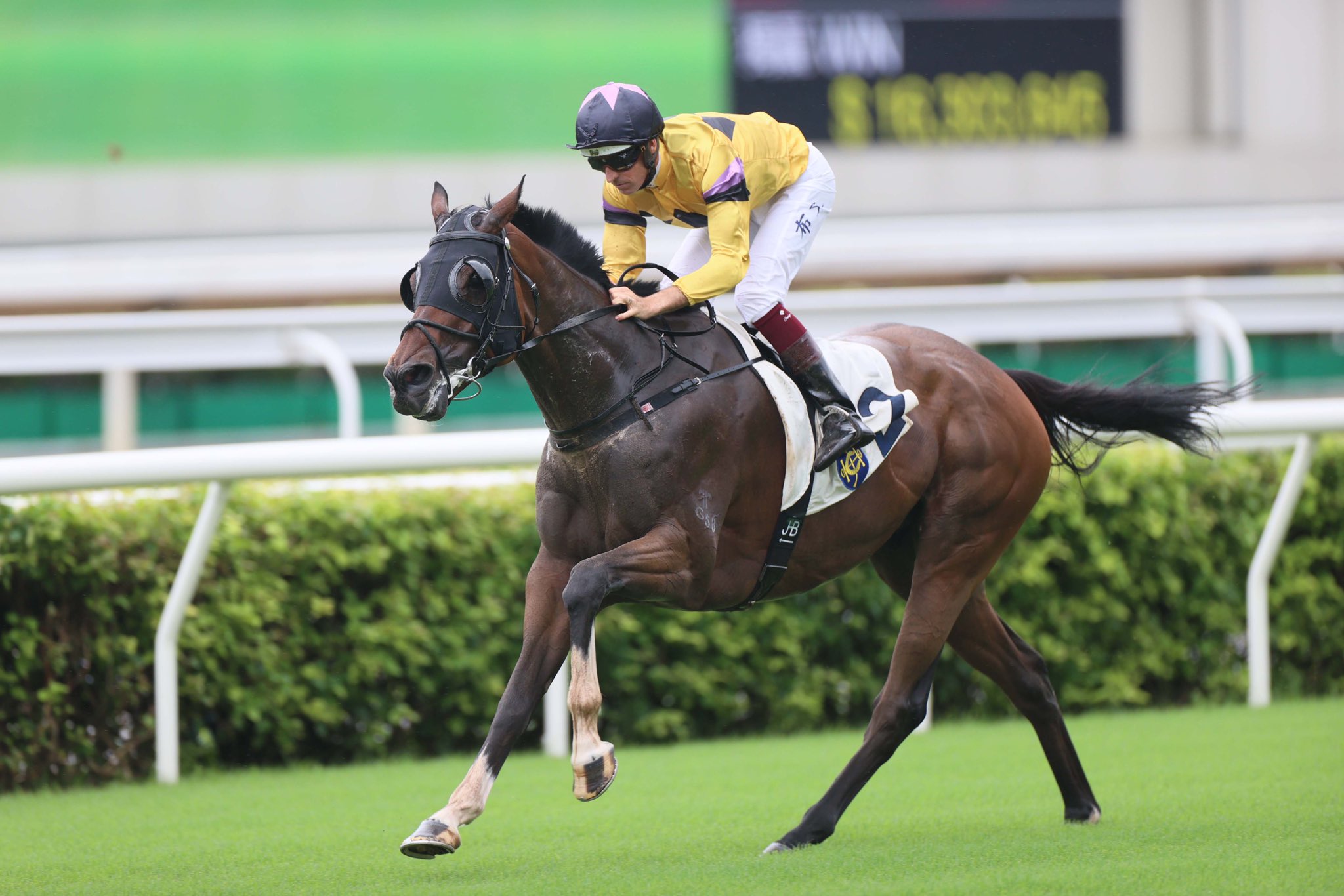 Purton set to Dazzle along with Fellow win-seeker David Hall