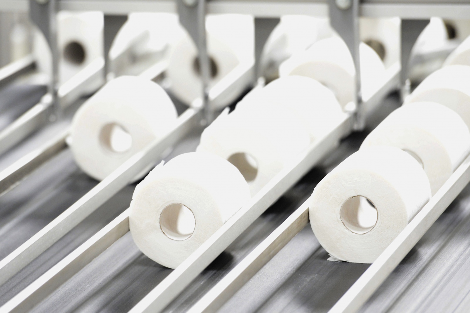 Portuguese paper giant Navigator swoops in for tissue and loo roll ...