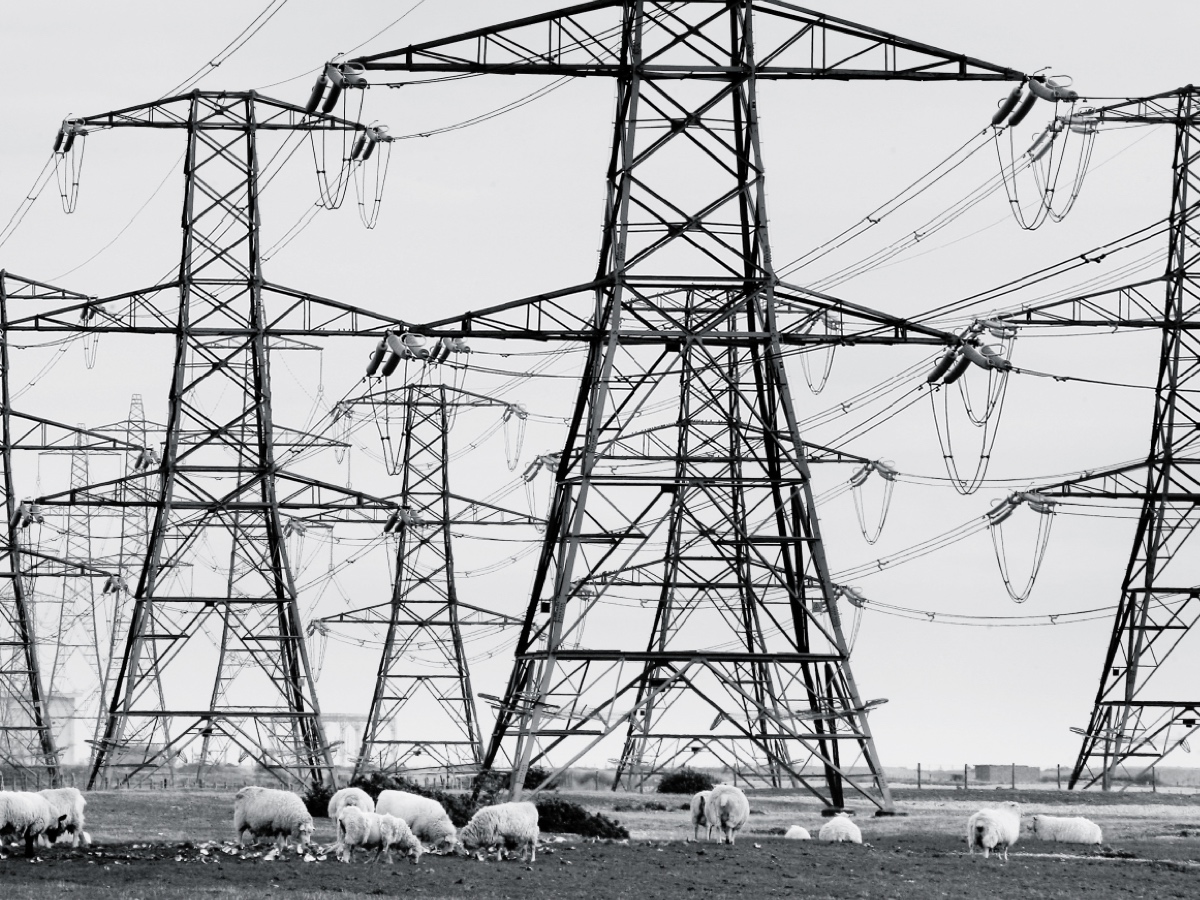 Stop the pile on pylons, they're works of art