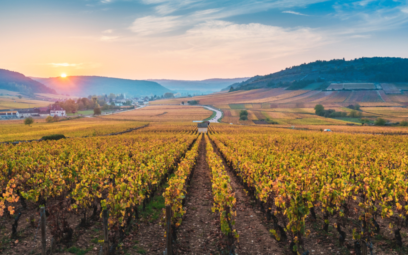 Happy hour: Green shoots for fine wine with 'normalisation of demand ...