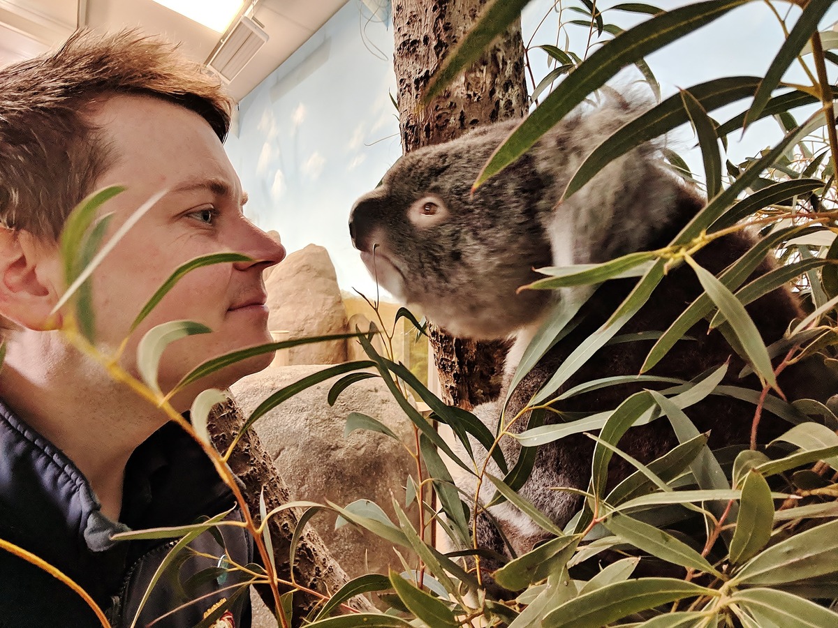 Longleat and Cheddar Gorge overcome "inopportune" weather